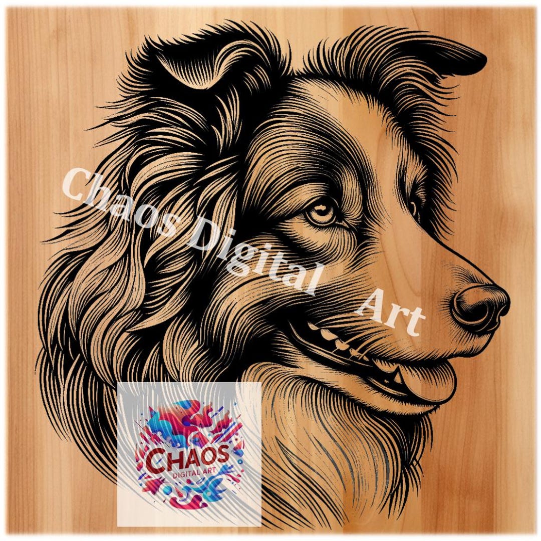 Border Collie Line Art Design Package - 5 Images in PNG, SVG, EPS ...