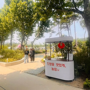 Mobile Cart, Pop up Bar Cart, Modern Food + Beverage Cart, Mall Kiosk ...
