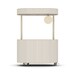 Mobile Cart, Pop up Bar Cart, Modern Food Beverage Cart, Mall Kiosk ...