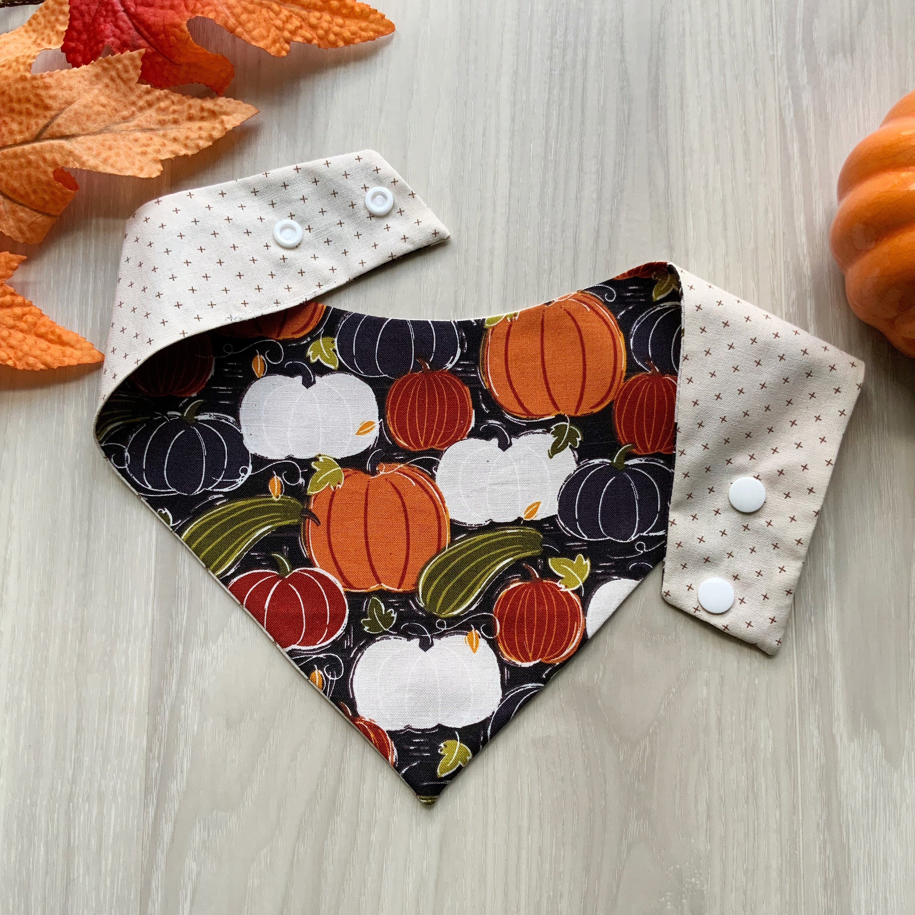 Fall Dog Bandana, Orange Pumpkin, Snap on Bandana, Matching Hair-bow ...