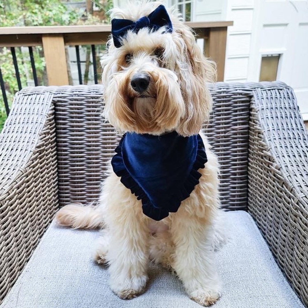 Navy Velvet Ruffle Dog Bandana, Snap-on Bow, Fancy Pet Bandana - Etsy