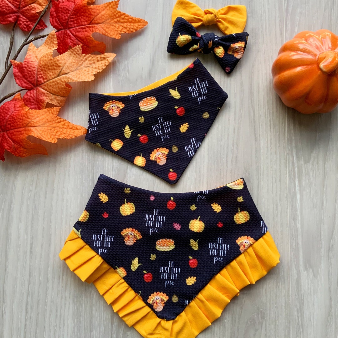 Fall Dog Bandana, Thanksgiving Pie, Snap on Bandana, Matching Hair-bow ...