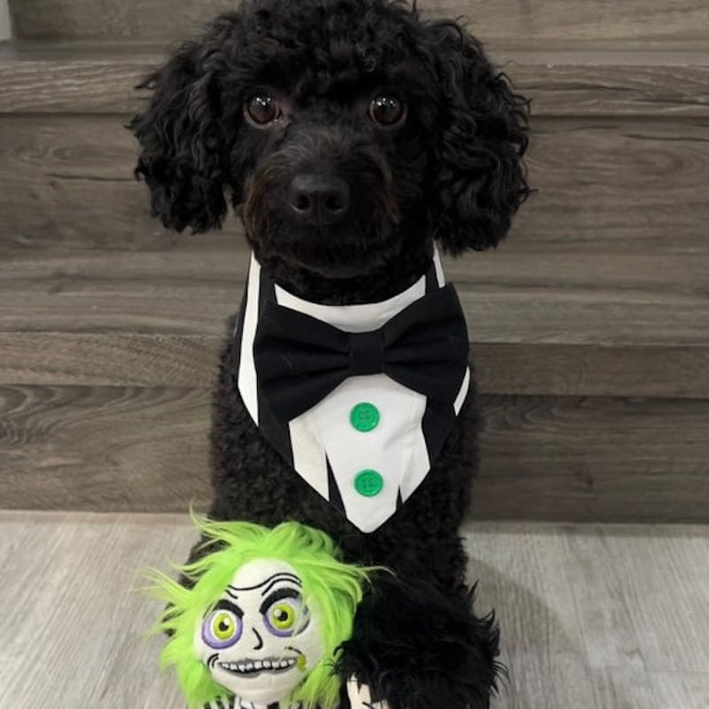 Sandworm Costume Dog - Etsy