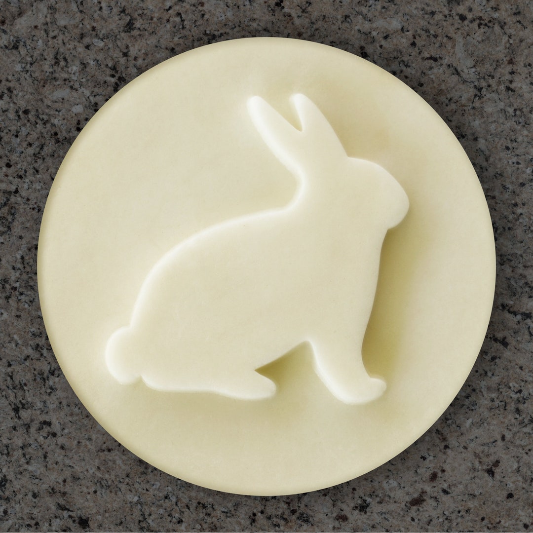 Easter Bunny Cookie Stamp, Easter Cookie Stamps, Animal Cookie Stamp - Etsy