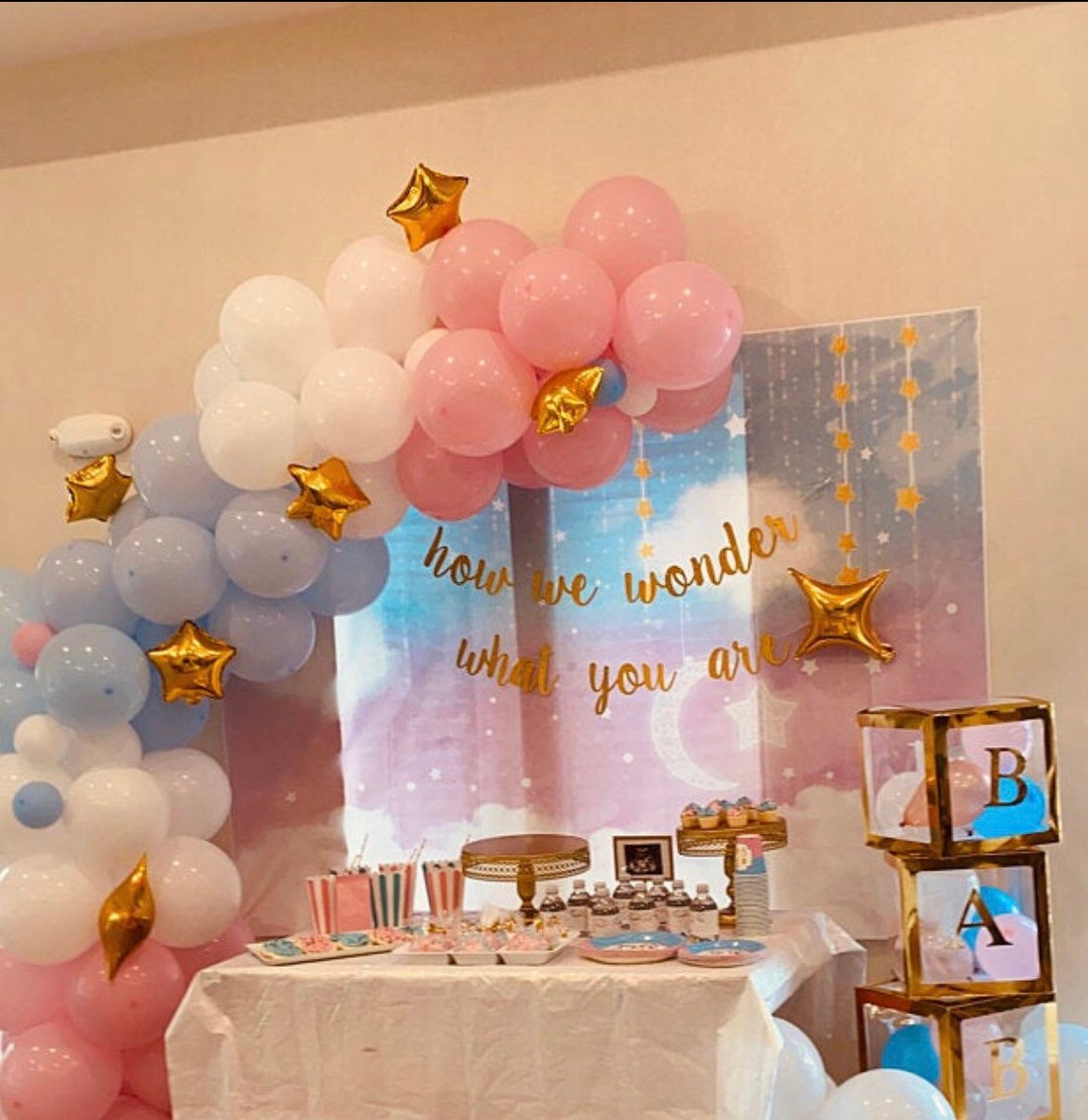 How We Wonder What You Are Banner, Gender Reveal Banner, Twinkle Little ...