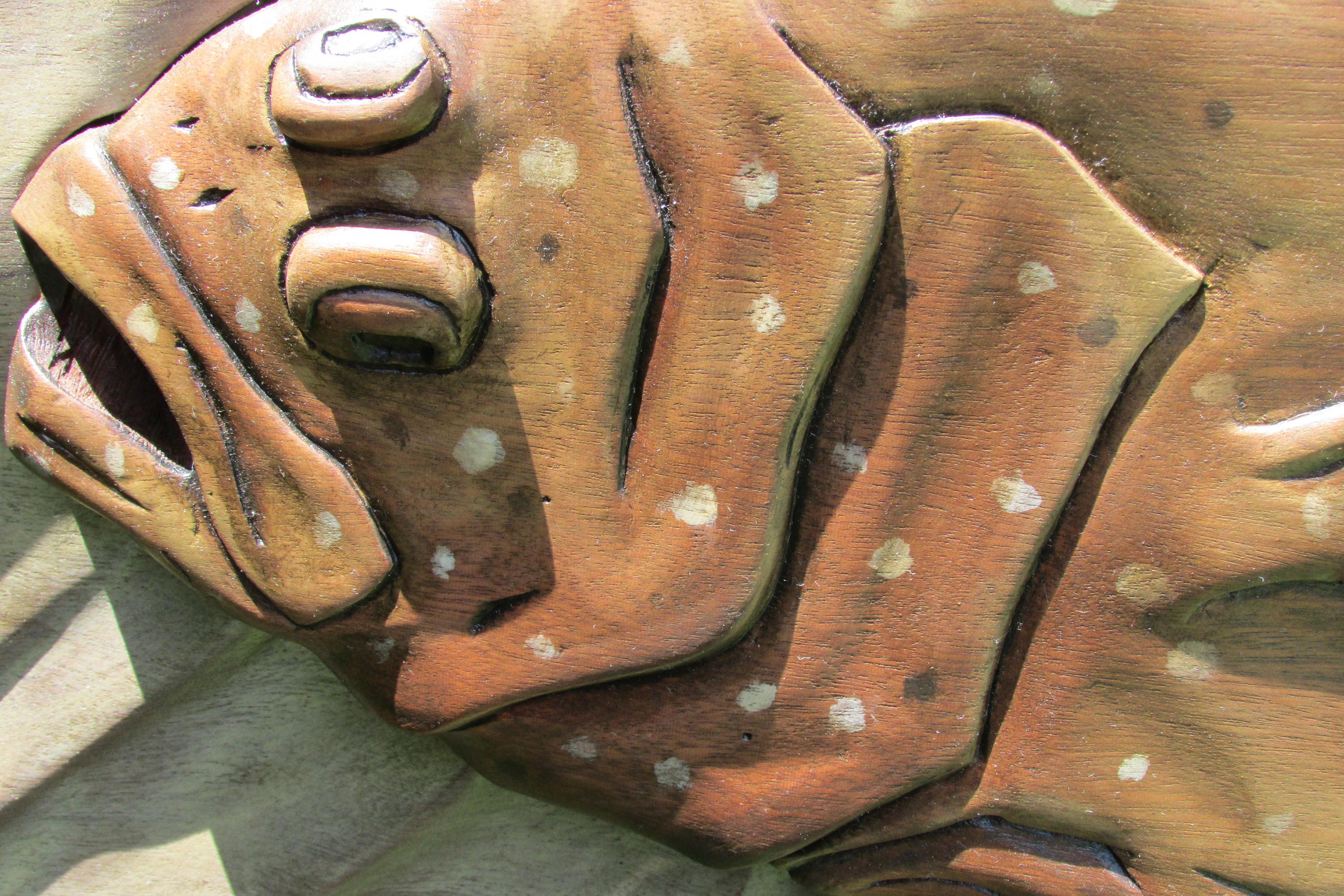 Wood Mahogany Saltwater Flounder Fish Relief Carving Sculpture Wall Art ...