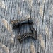 Dragon Scale CG Paracord Shackle - Etsy