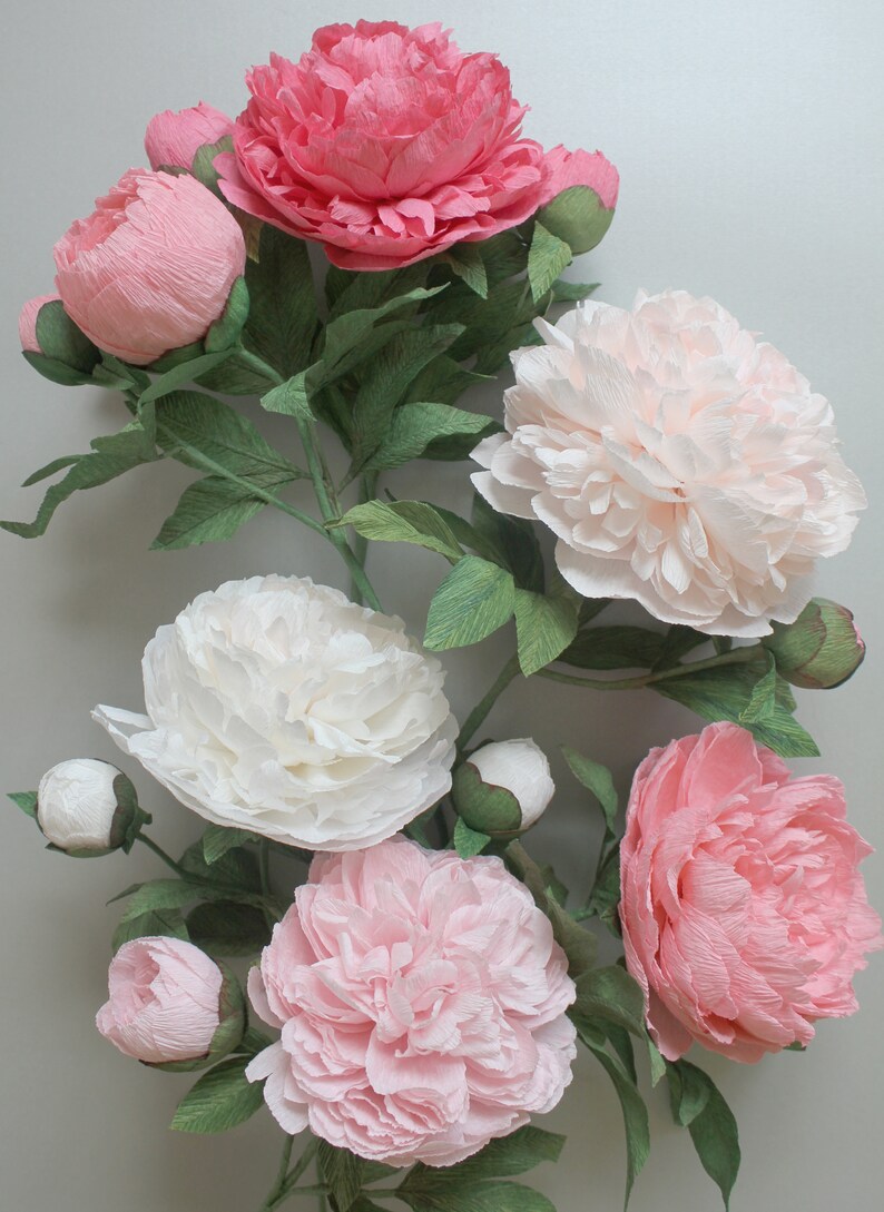 Tender Paper Peonies in Various Colors for Your Home Decor - Etsy