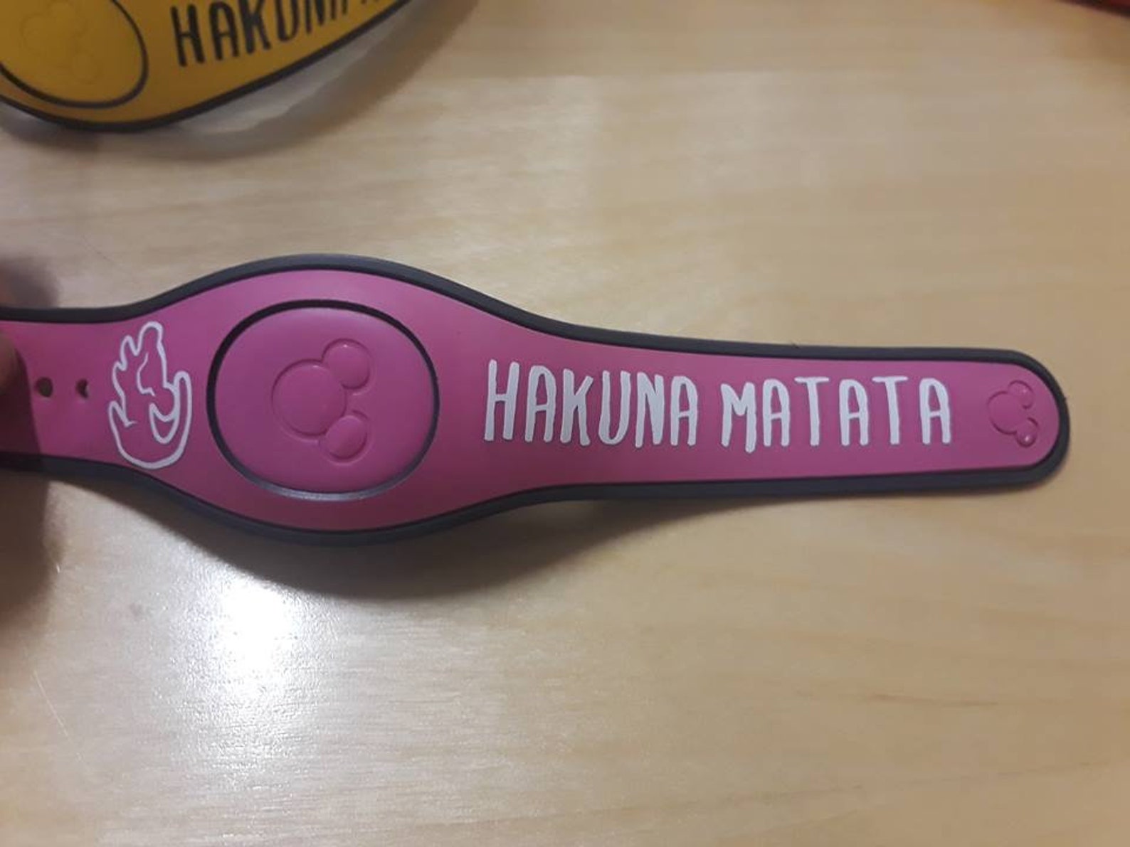 Hakuna Matata Magic Band 2.0 Decal - Etsy