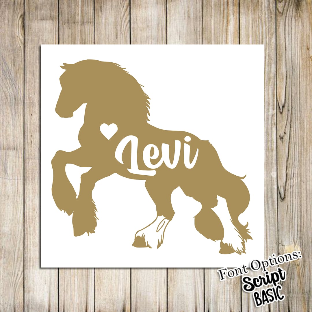 Gypsy Vanner Horse, Gypsy Cob, Gypsy Horse, Draft Horse, Spotted Draft ...