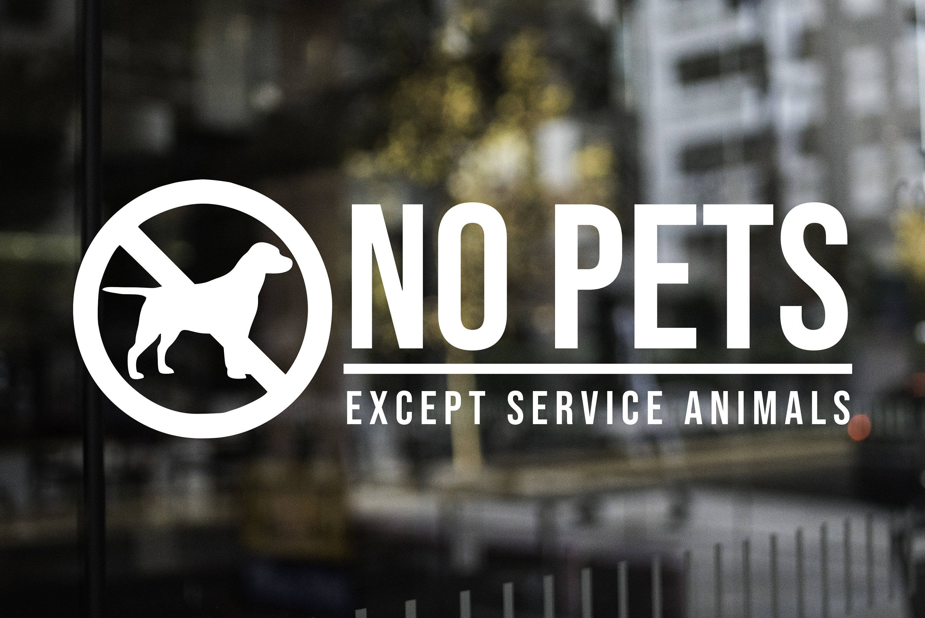 No Dogs Decal No Pets Decal Store Decal Store Sticker - Etsy