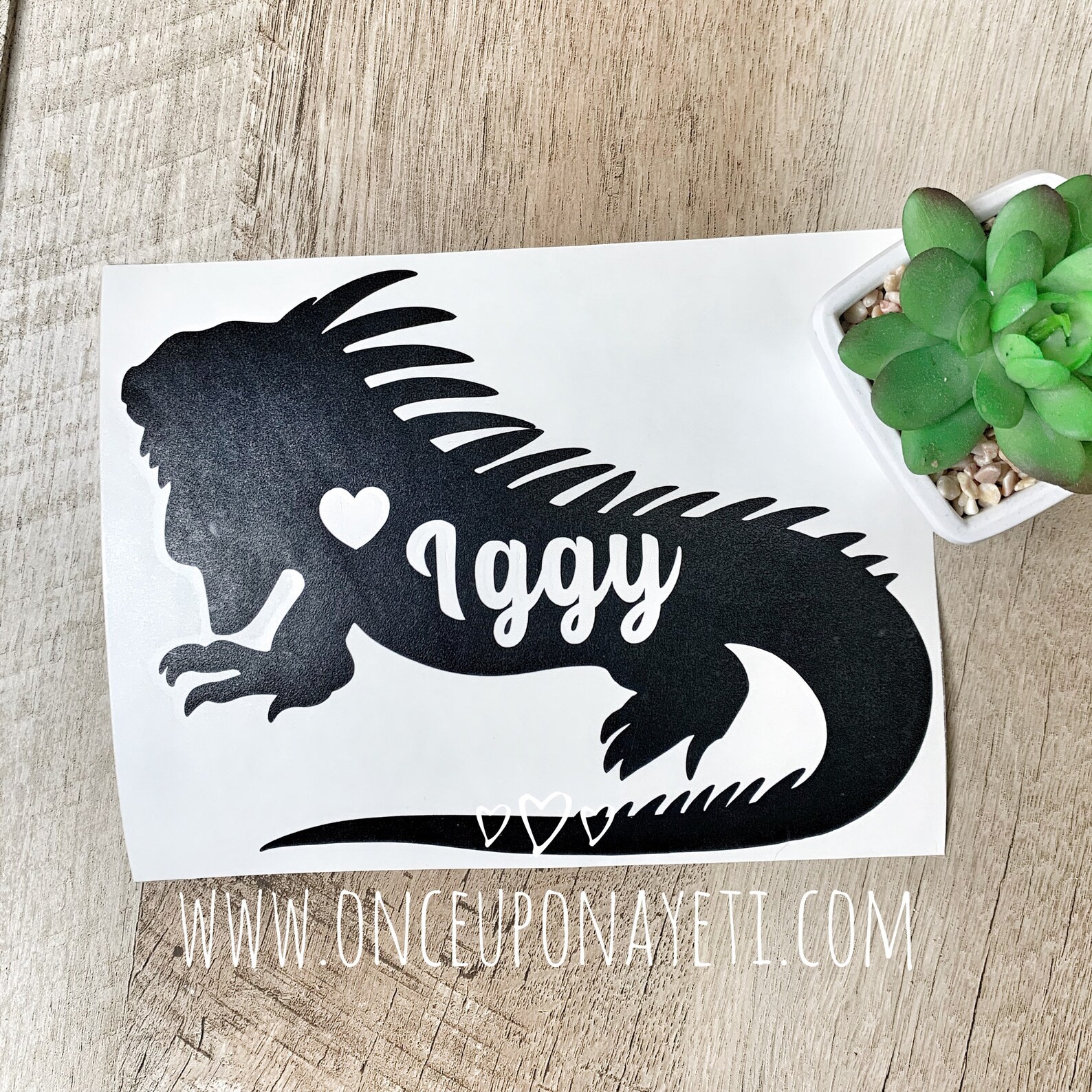 Iguana Decal Iguana Tank Decal Lizard Sticker Iguana Name - Etsy