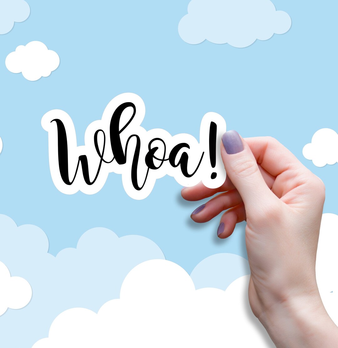 I Said Whoa Waterproof Sticker, Equestrian Decal, Car Decal, Gift for ...