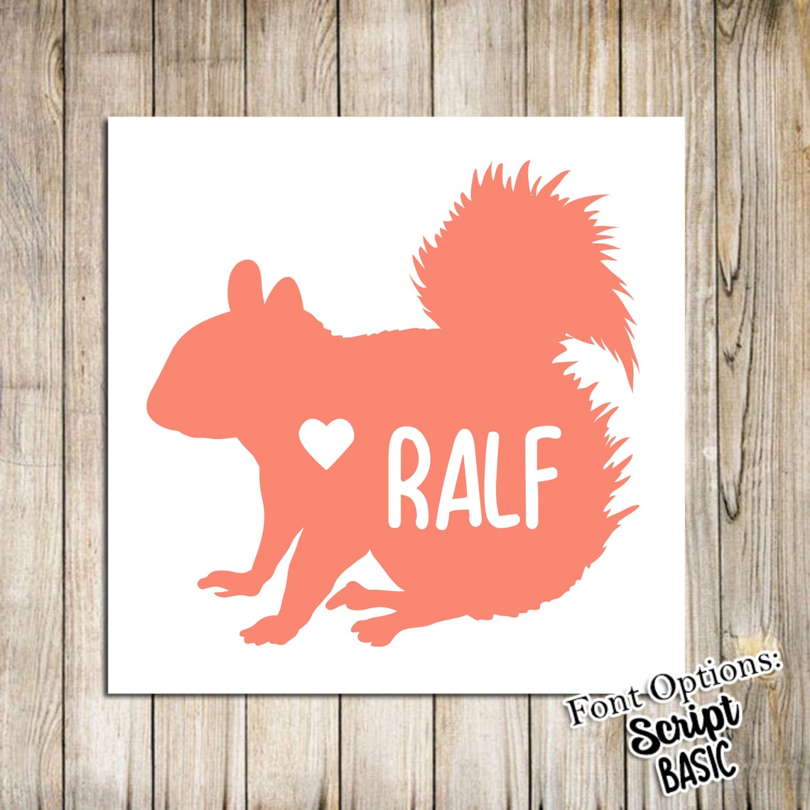 Squirrel Vinyl Decal Squirrel Vinyl Decal Decal Sticker - Etsy