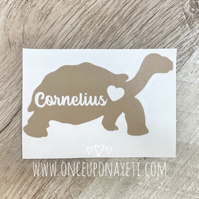 Tortoise Decal Tortoise Tank Decal Tortoise Sticker - Etsy