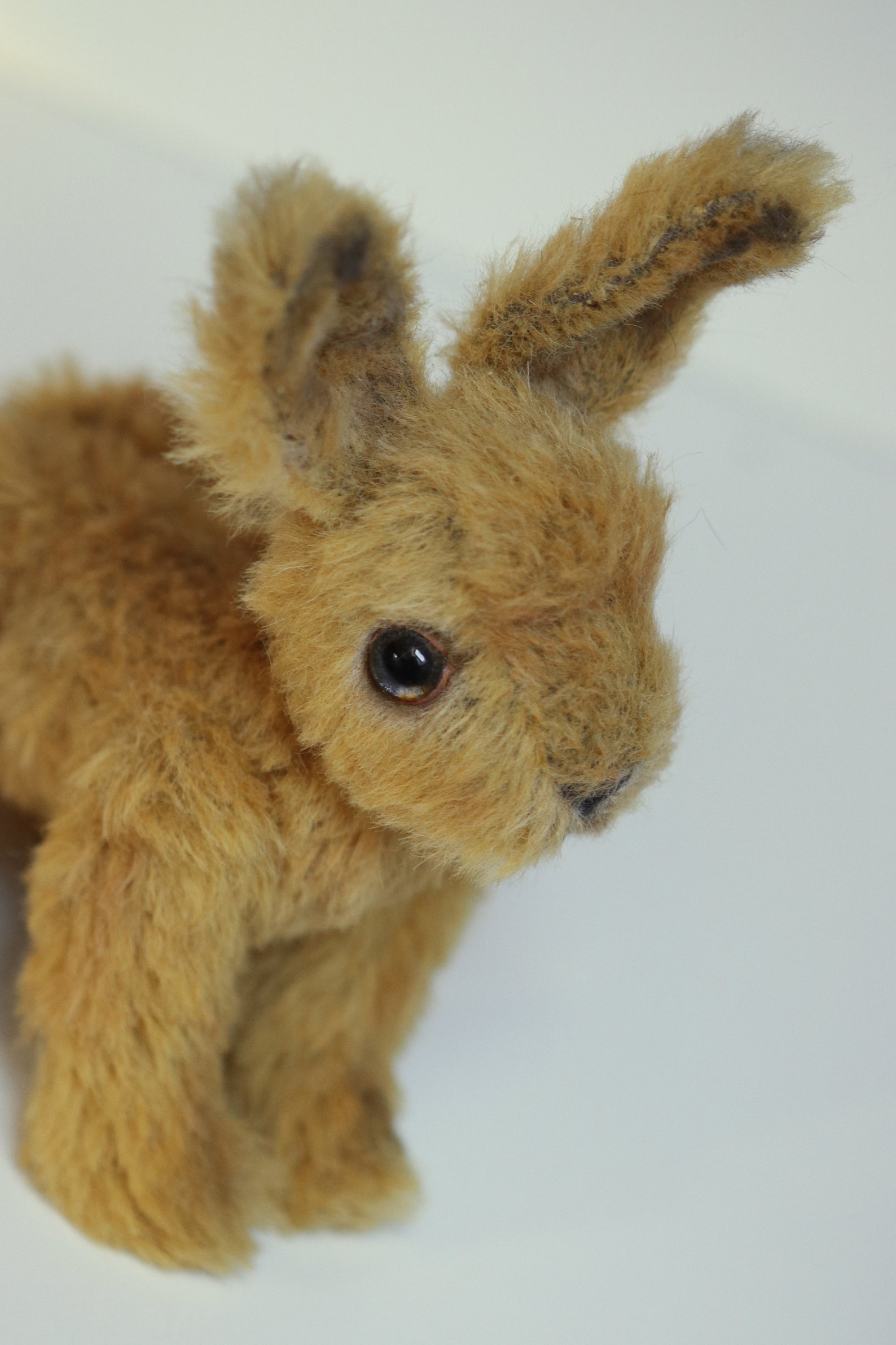 Teddy Bunny Hare/collectible Teddy Toy/plush Bunny/rabbit/soft - Etsy