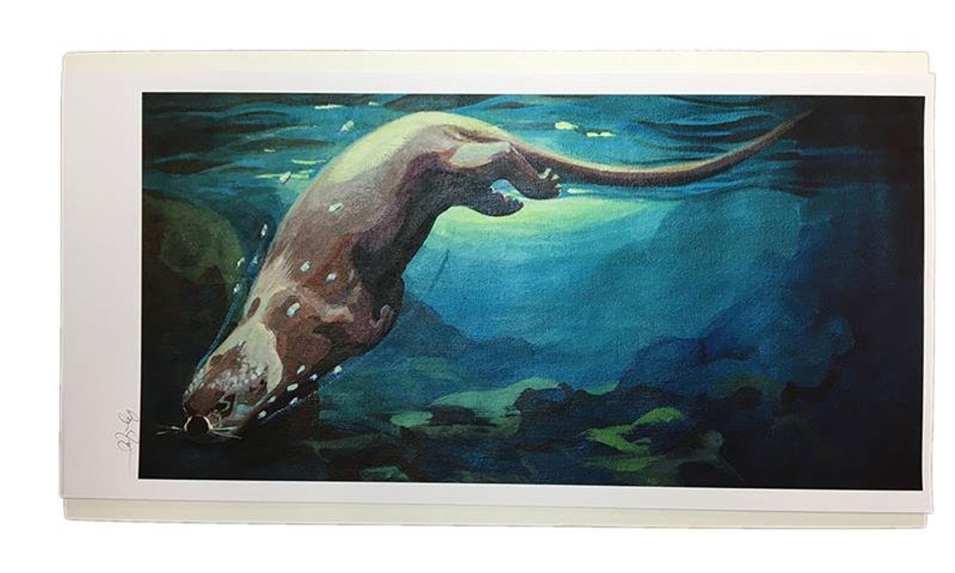 Wildlife Artwork of North American Fur Bearers by Bryna Jaqua (otter ...