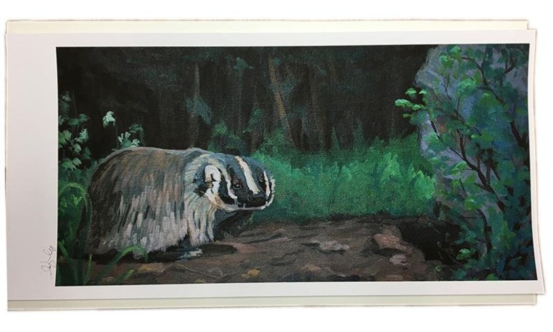 Wildlife Artwork of North American Fur Bearers by Bryna Jaqua (badger ...