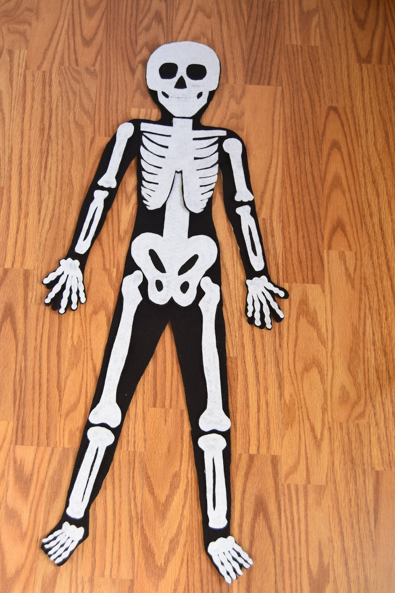Human Body Template Kit - Etsy