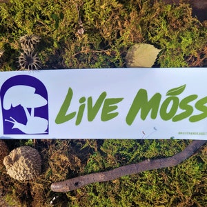 Live Moss Vinyl Bumper Sticker - Etsy