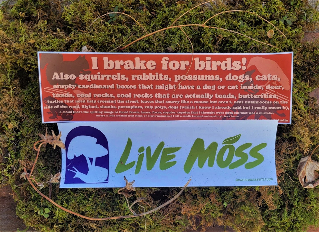 Vinyl Bumper Sticker Bundle Etsy