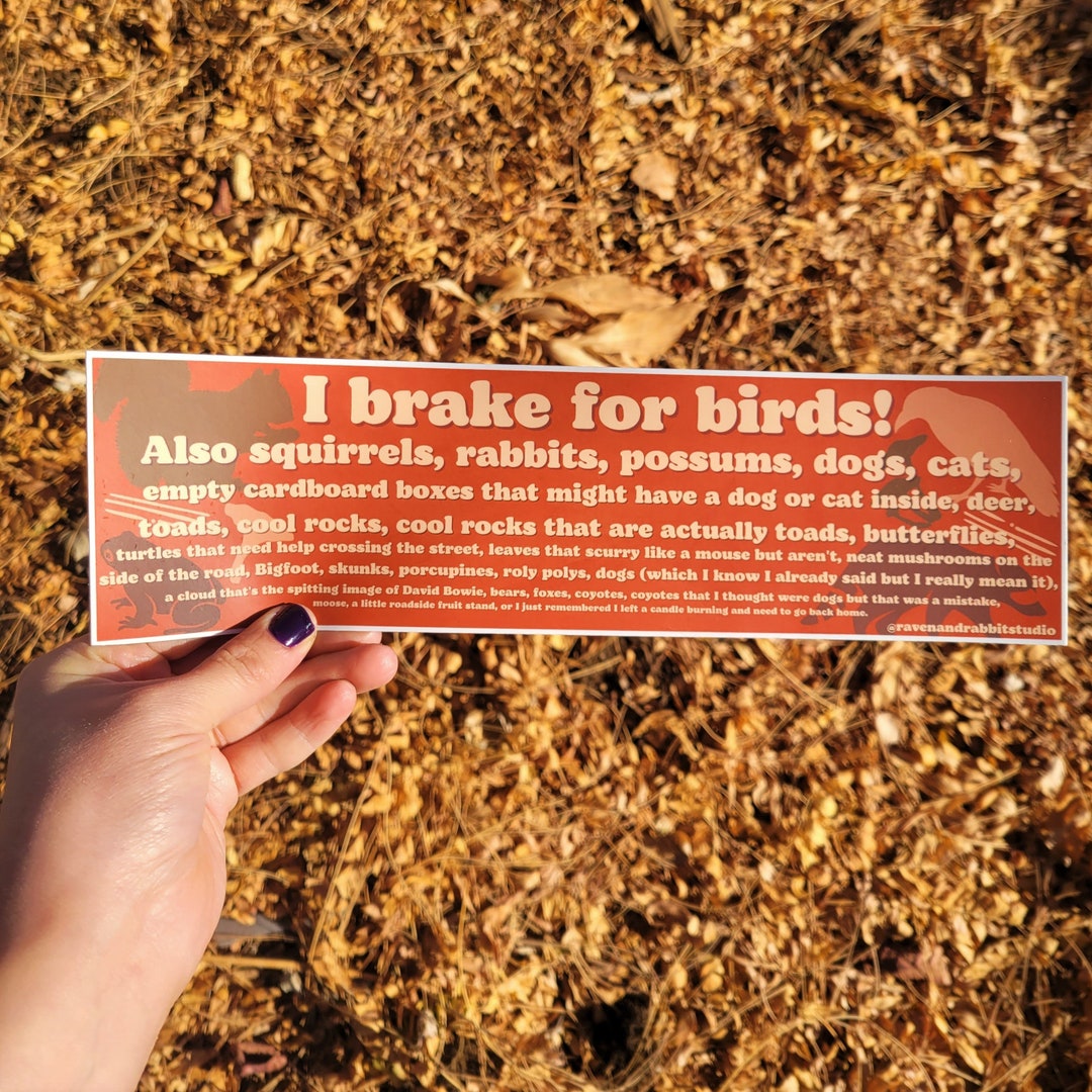 I Brake for Everything Vinyl Bumper Sticker - Etsy