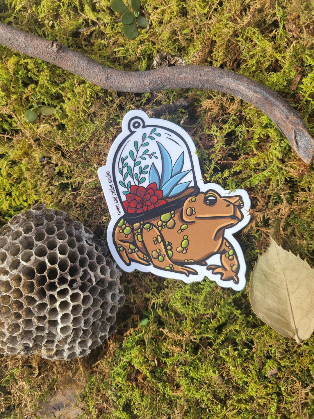 Terrarium Toad Vinyl Sticker - Etsy