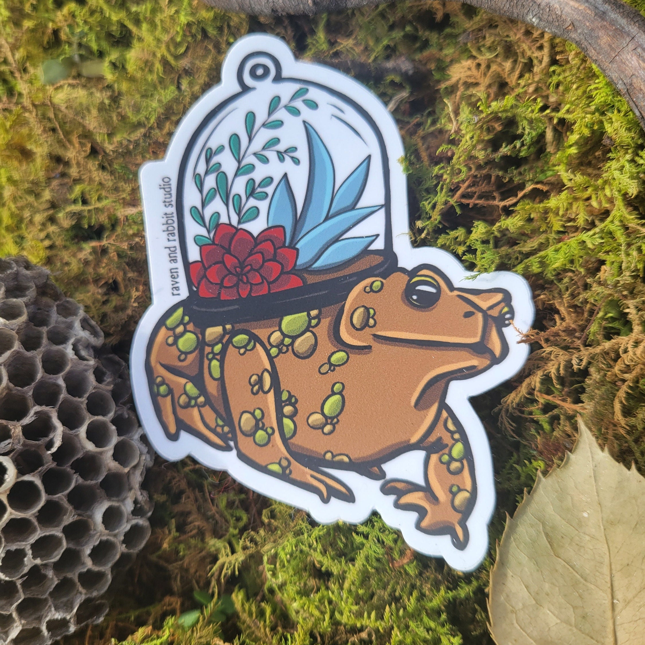 Terrarium Toad Vinyl Sticker - Etsy