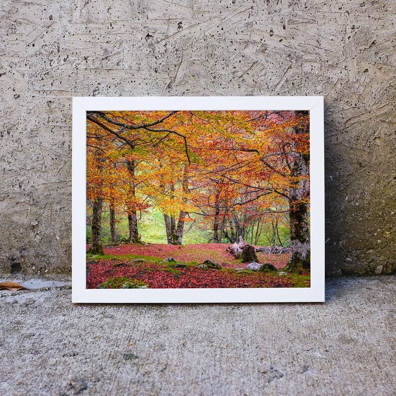 Autumn Art Print, Forest Photography, Bedroom Prints Wall Art, Colorful ...