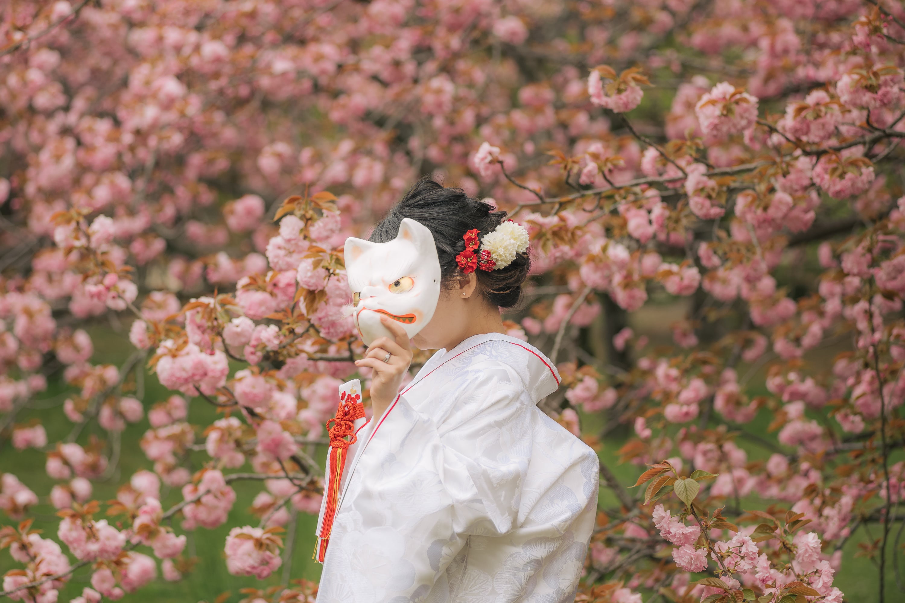 Japan Cherry Blossom, Sakura Print, Kyoto Travel Poster, Fine Art ...