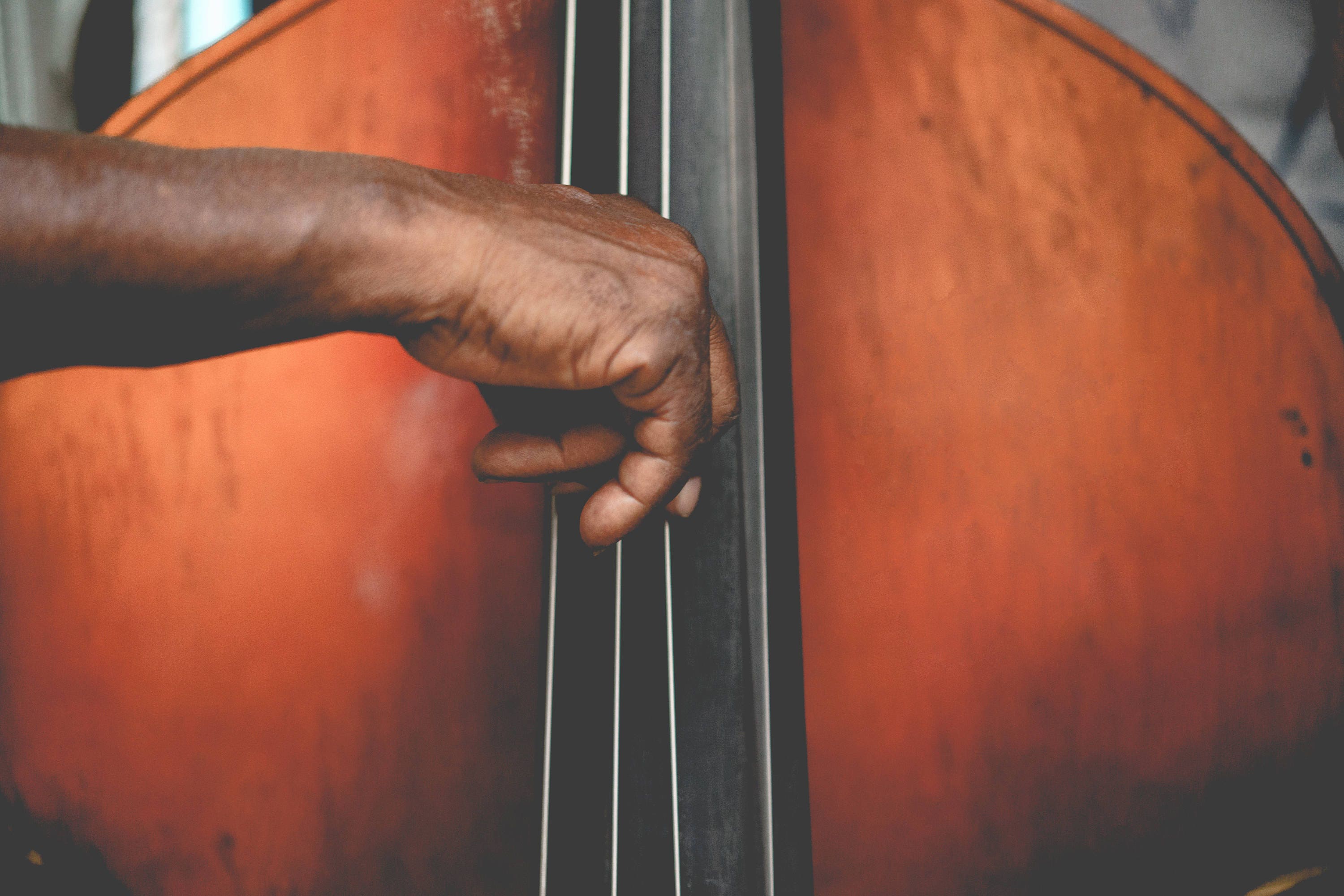 Double Bass Player, Jazz Poster, Music Room Decor, Gifts for Musician ...