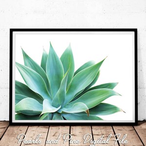 Agave Plant Print Printable Art, Cactus Wall Art, Digital Download ...