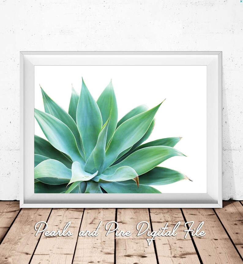 Agave Plant Print Printable Art, Cactus Wall Art, Digital Download ...