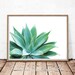 Agave Plant Print Printable Art, Cactus Wall Art, Digital Download ...
