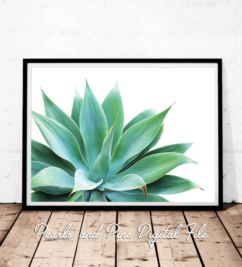 Agave Plant Print Printable Art, Cactus Wall Art, Digital Download ...