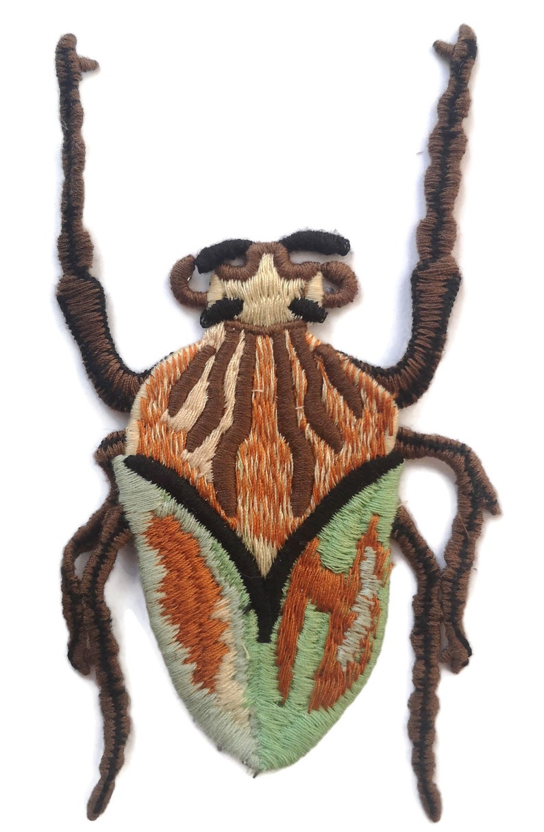 Embroidered Insect Patches Butterfly Beetle Moth Scarab Cicada - Etsy