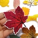 Autumn Leaves Flaming Fall Embroidered Patches Iron on Set - Etsy