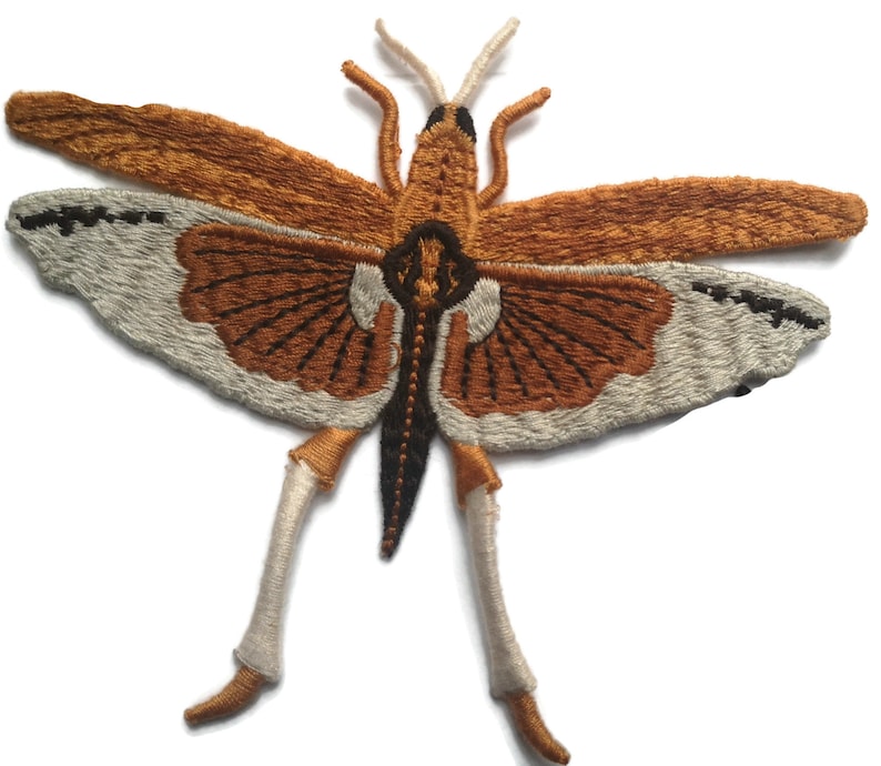 Embroidered Insect Patches Butterfly Beetle Moth Scarab Cicada - Etsy