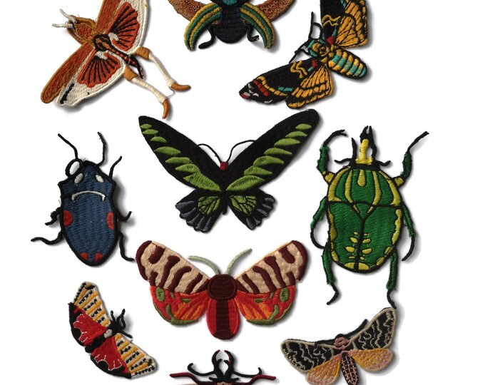 Embroidered Insect Patches Butterfly Beetle Moth Scarab Cicada Maybug ...