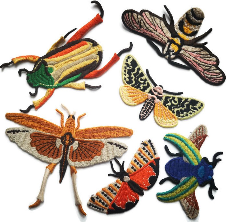 Embroidered Insect Patches Butterfly Beetle Moth Scarab Cicada | Etsy