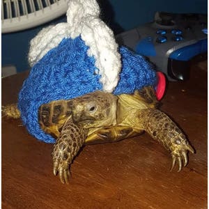 Tortoise Sweater-stegatortoise, Turtle Costume, Pet Costumes, Tortoise ...