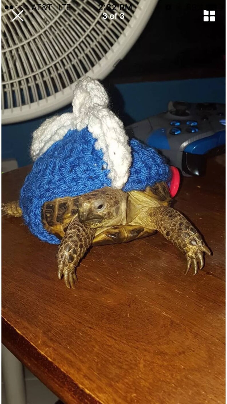 Tortoise Sweater-stegatortoise Turtle Costume Pet Costumes - Etsy