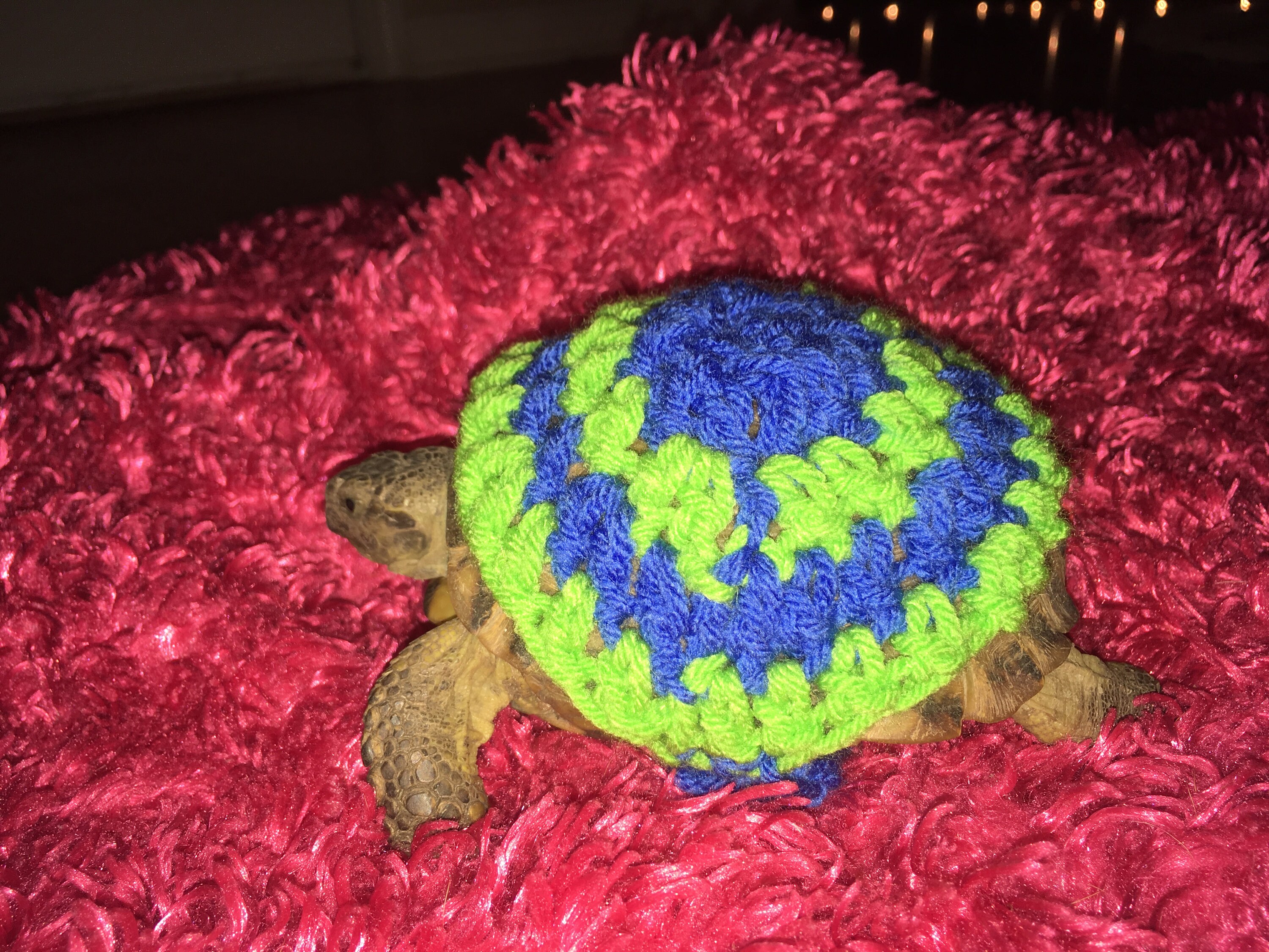 Tortoise Sweaters-Target Pattern turtle costume pet costume | Etsy