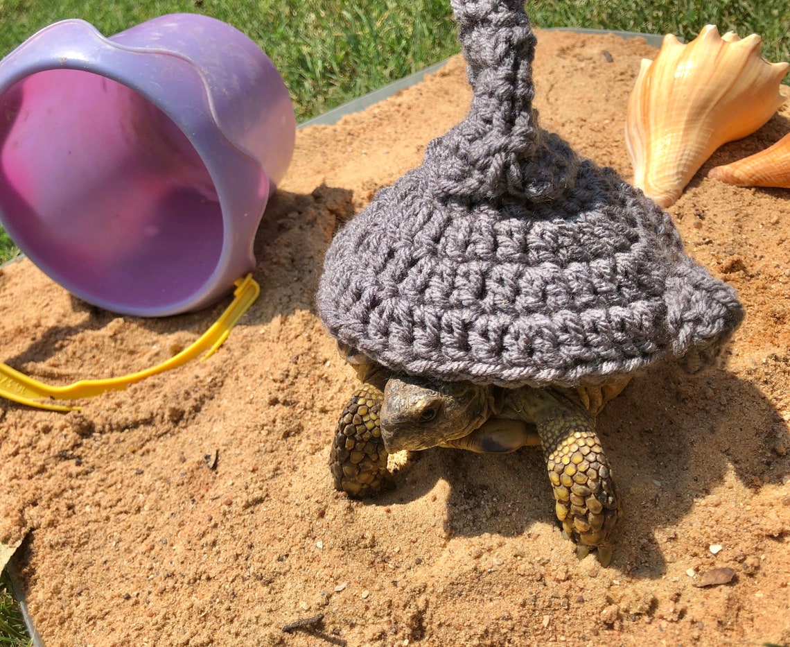 Tortoise Shark Sweater | Etsy