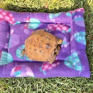 Small Animal Bed Fleece Hedgehog Rat Guinea Pig - Etsy