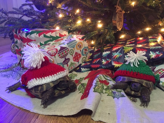 Christmas and Holiday Tortoise Sweaters turtle costume | Etsy