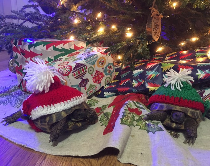 Christmas and Holiday Tortoise Sweaters, Turtle Costume, Tortoise Hat ...
