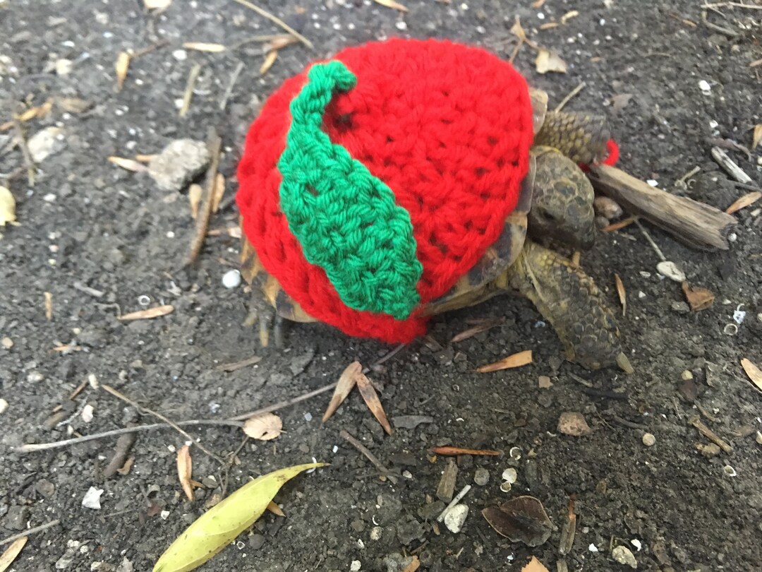 Tortoise Sweater Cherry, Turtle Costume, Pet Costume, Tortoise Supplies ...
