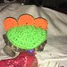 Tortoise Sweater-stegatortoise, Turtle Costume, Pet Costumes, Tortoise ...