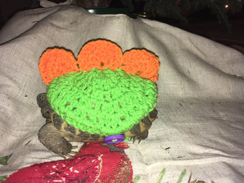 Tortoise Sweater-stegatortoise Turtle Costume Pet Costumes - Etsy